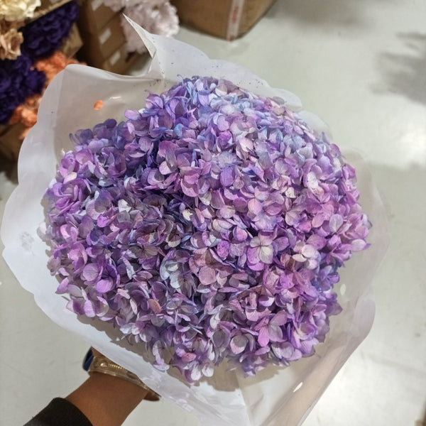 Single stem preserved Hydrangea purple – Viva La Rosa