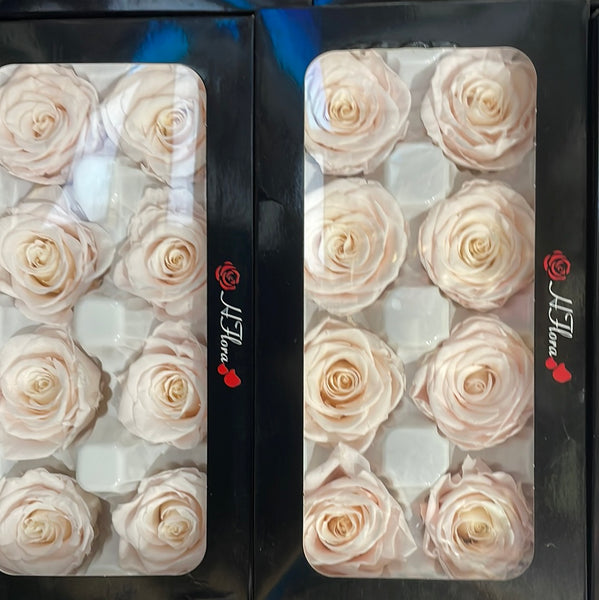 Preserved Rose Pink (box of 8) – Viva La Rosa