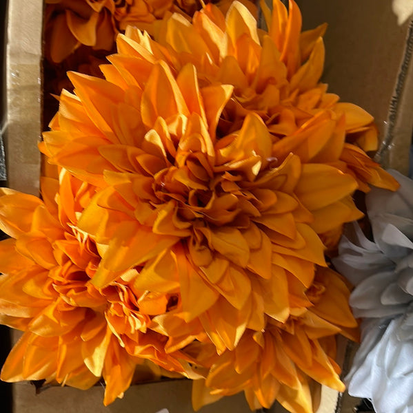 Burnt Orange Dahlia Bunch – Viva La Rosa